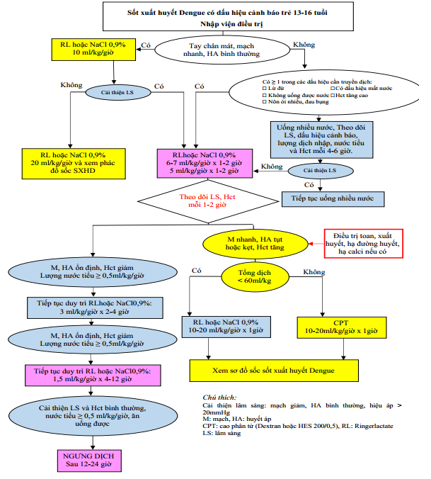 Sinh hoạt chuyên môn: Cập nhật phác đồ điều trị Sốt xuất huyết Dengue 2023 - Bệnh viện Đại học Y ...